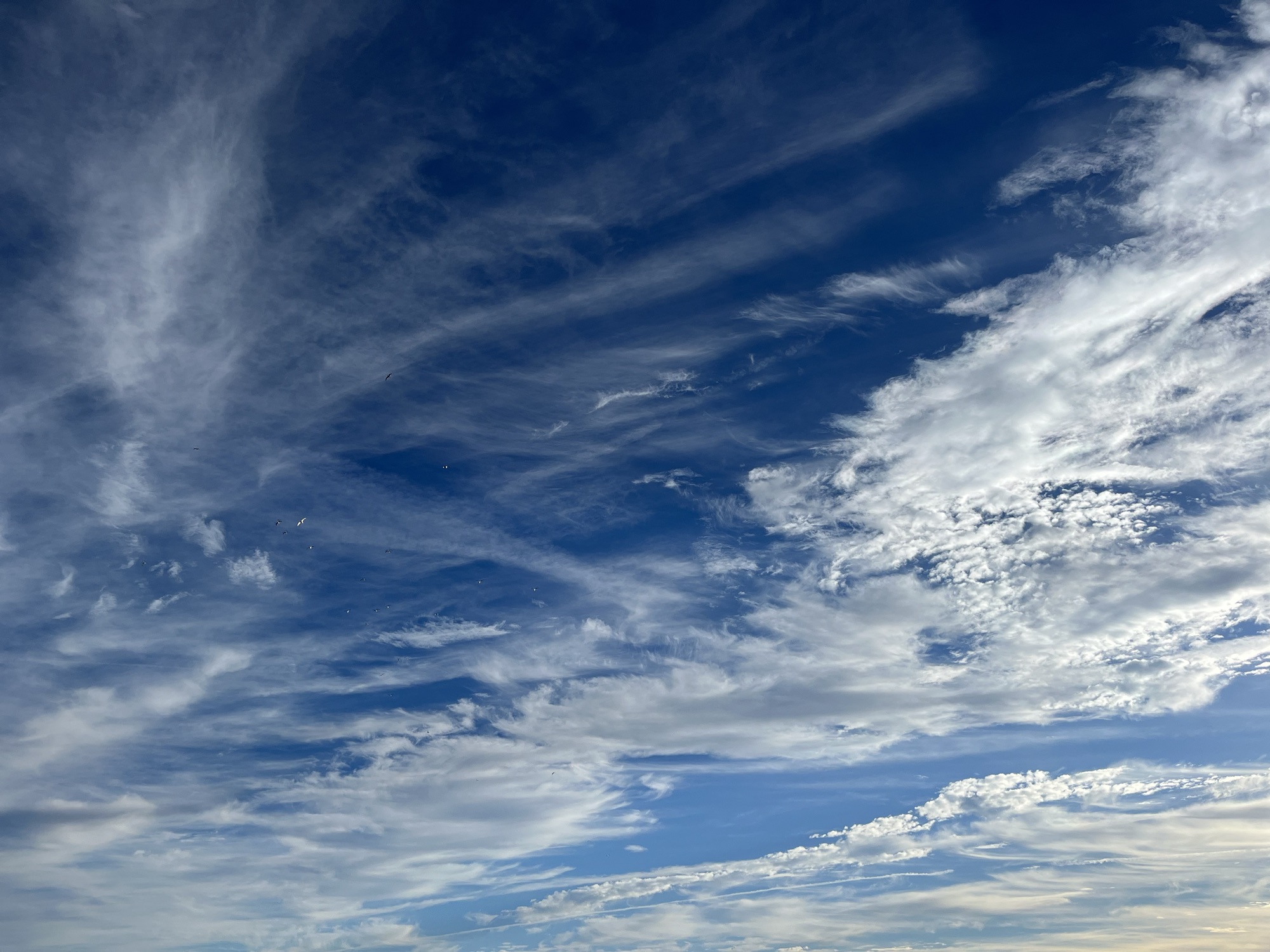 A Note on Trauma | ''The journey of orphan to adoption"